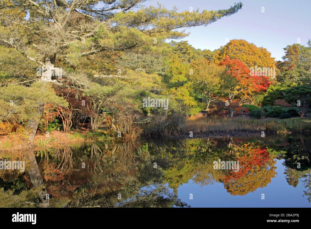 Martha's vineyard mytoi gardens hi-res stock photography and images - Alamy