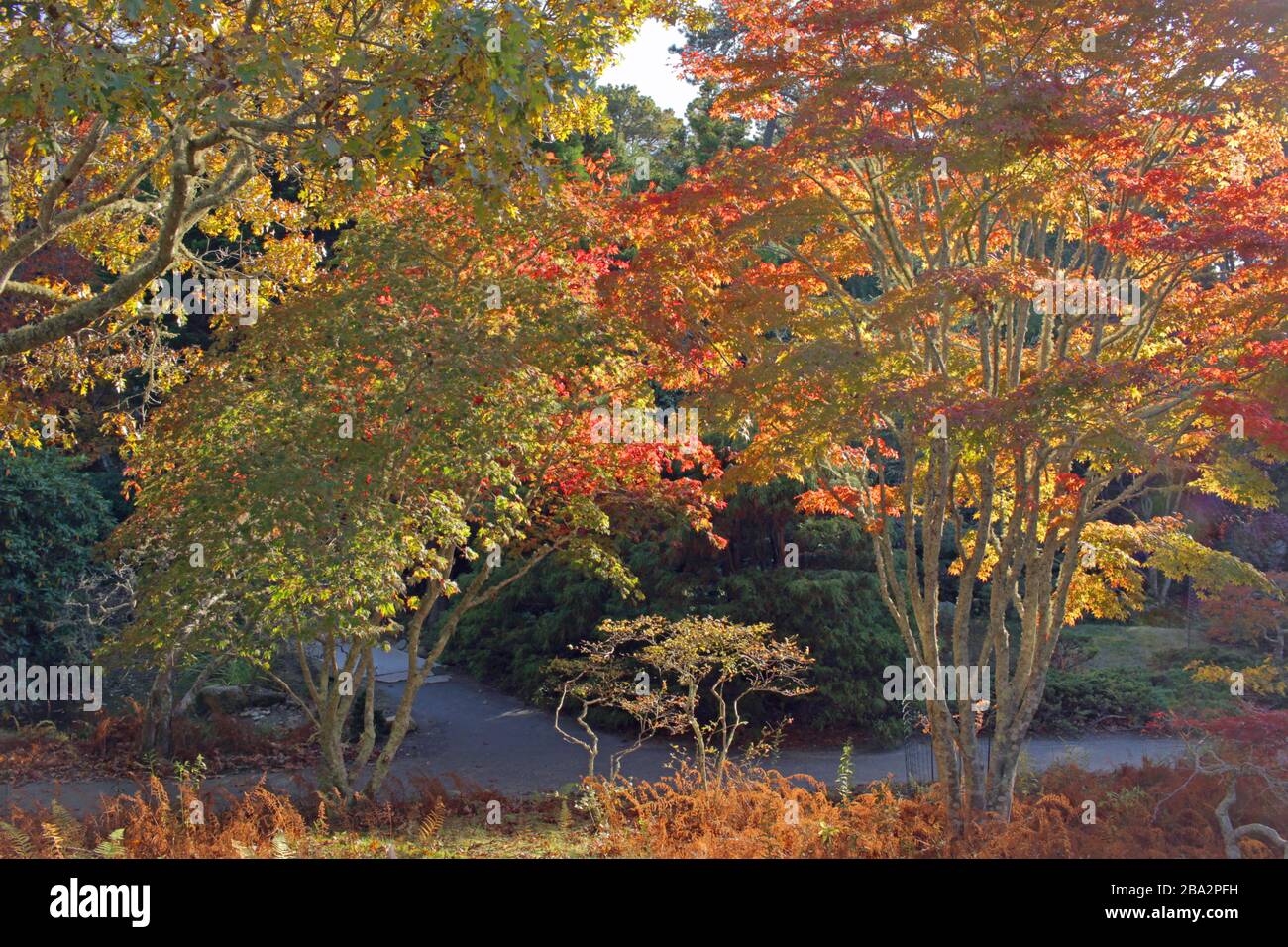 Martha's vineyard mytoi gardens hi-res stock photography and images - Alamy