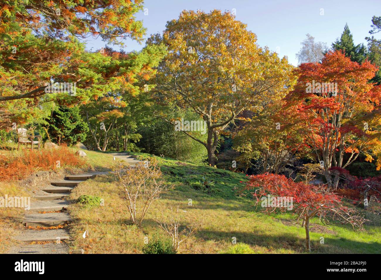 Martha's vineyard massachusetts mytoi hi-res stock photography and ...