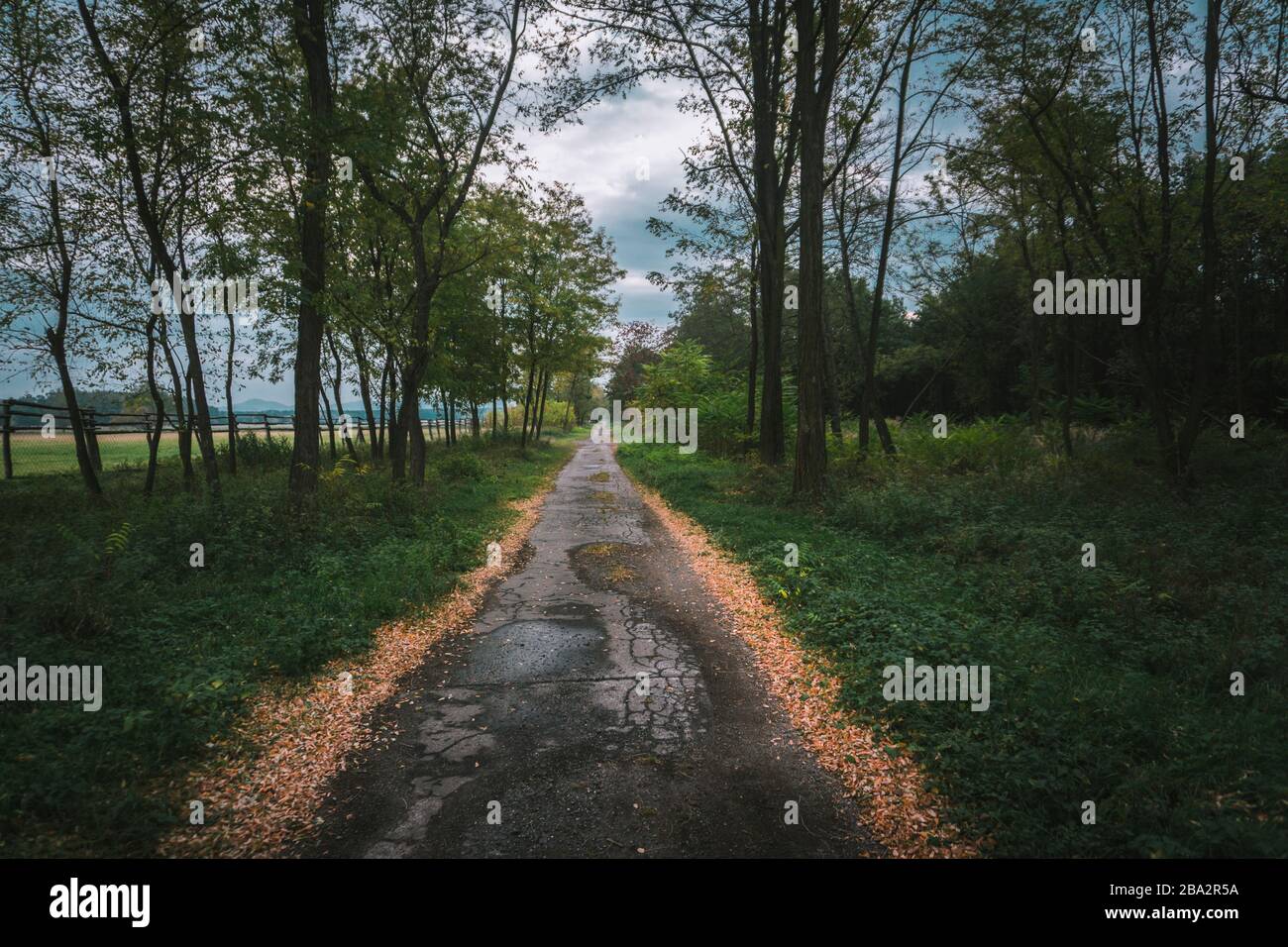 Discover Slovak nature. Nine national parks. Majestic peaks, deep ...