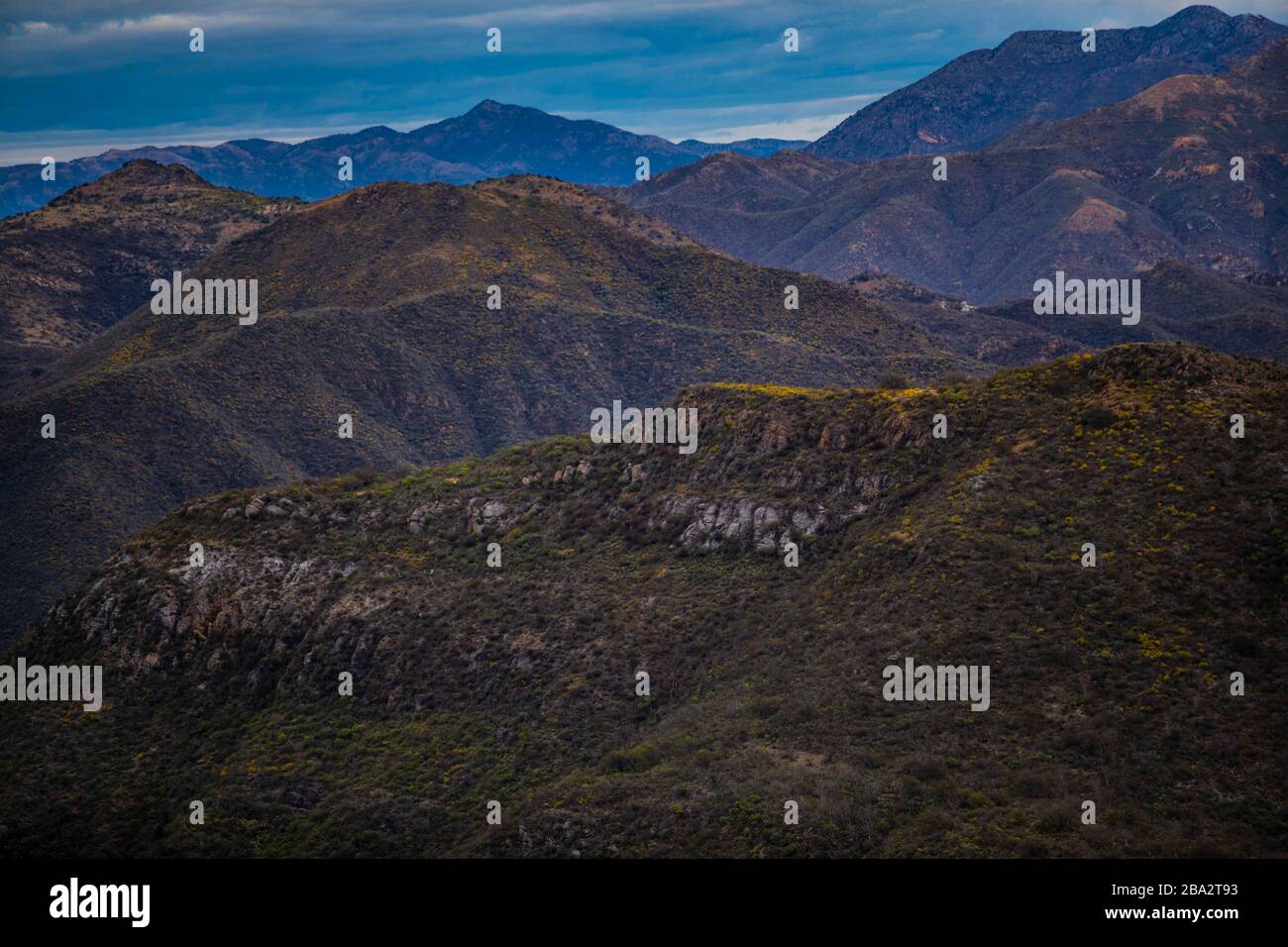Sahuaripa mexico hi-res stock photography and images - Alamy