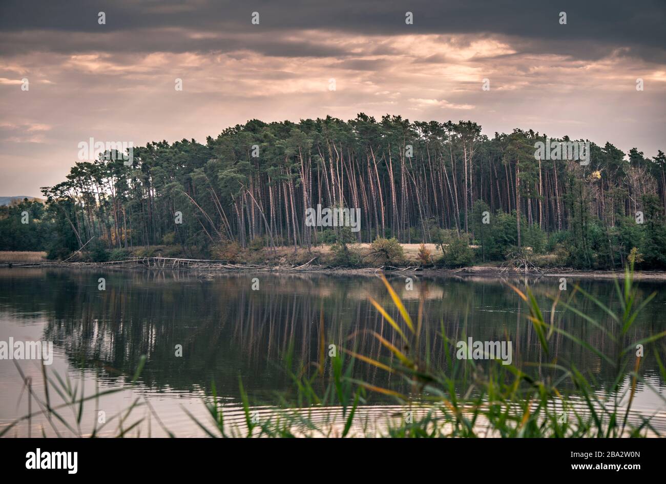 Discover Slovak nature. Nine national parks. Majestic peaks, deep ...