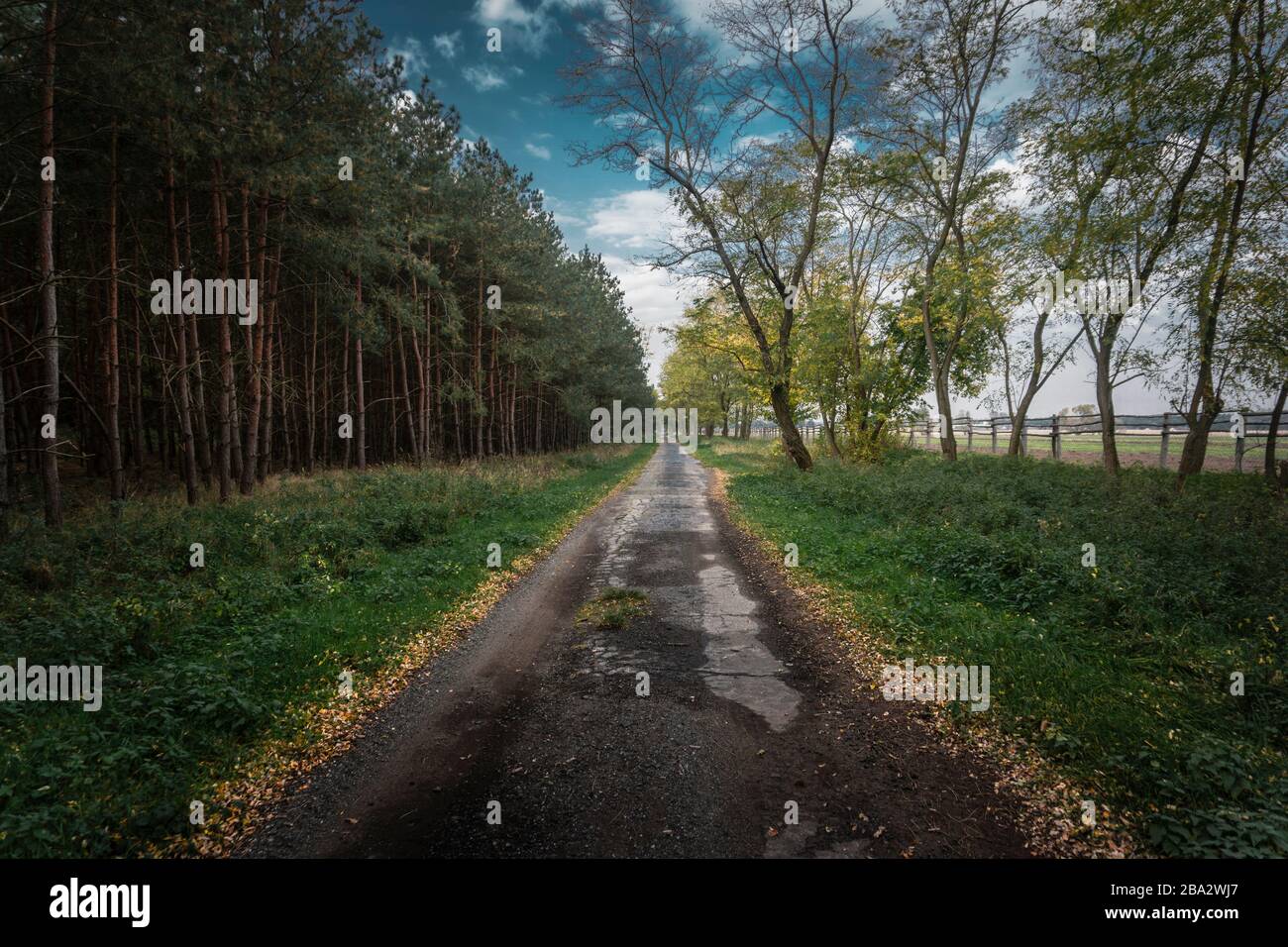 Discover Slovak nature. Nine national parks. Majestic peaks, deep ...