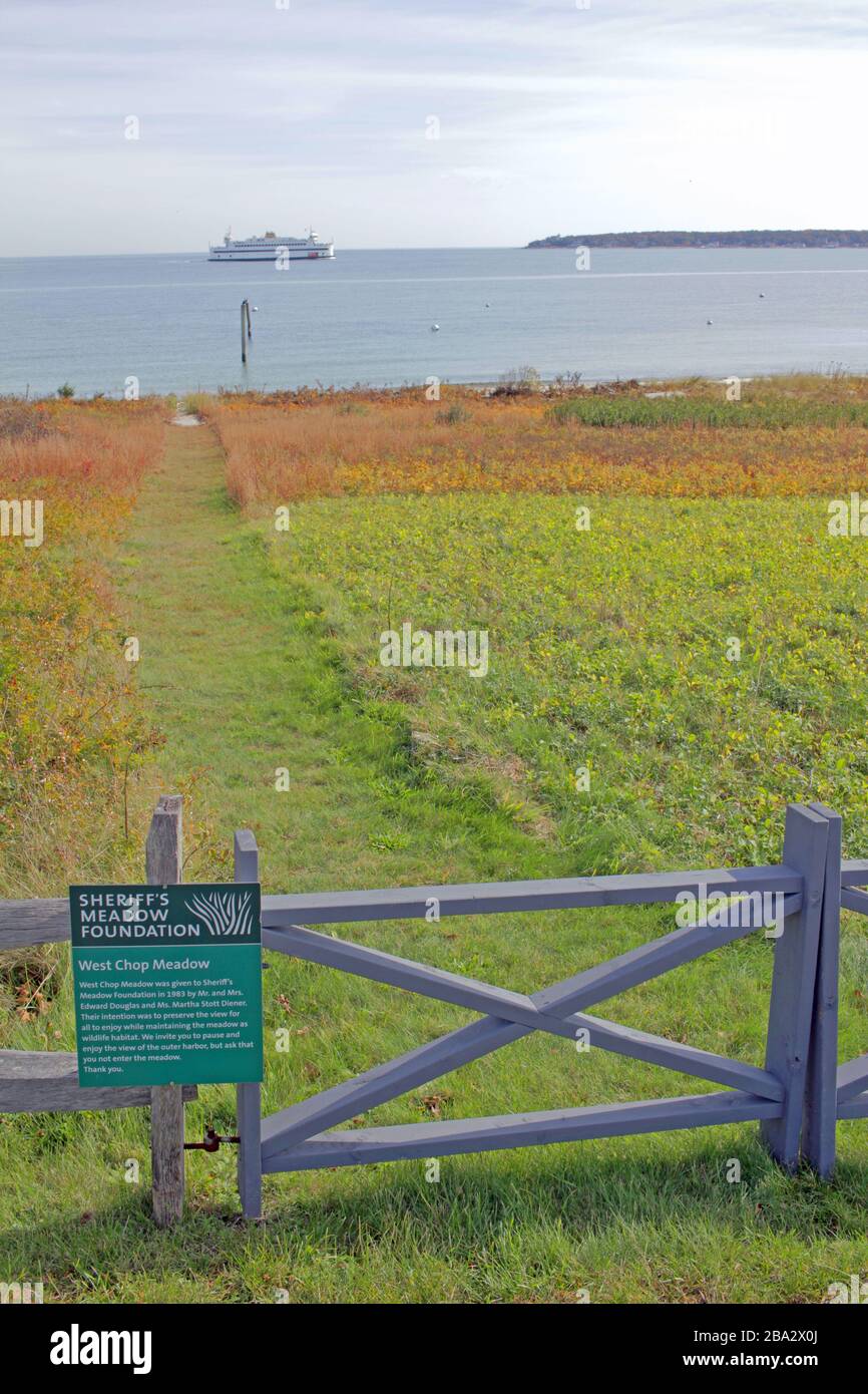 West Chop Meadow, with ferry in background, Martha’s Vineyard ...