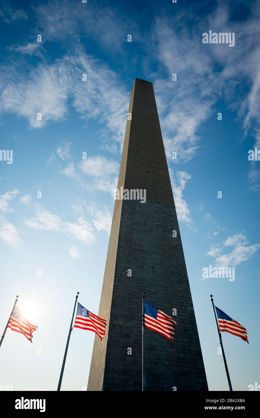 Backlit view of American flags surrounding the Washington Monument ...