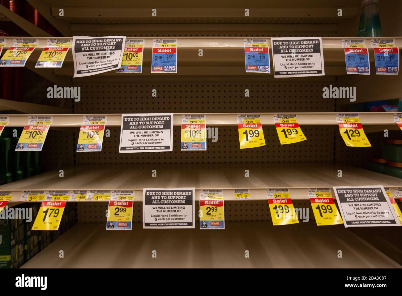 View of empty shelves due to hoarding and broken supply chains during ...