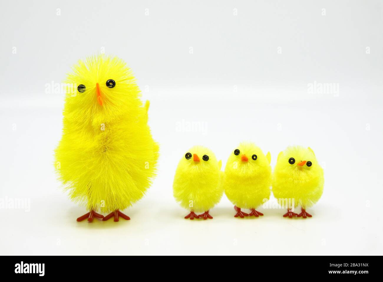Cute little Easter chicks standing in a row Stock Photo - Alamy