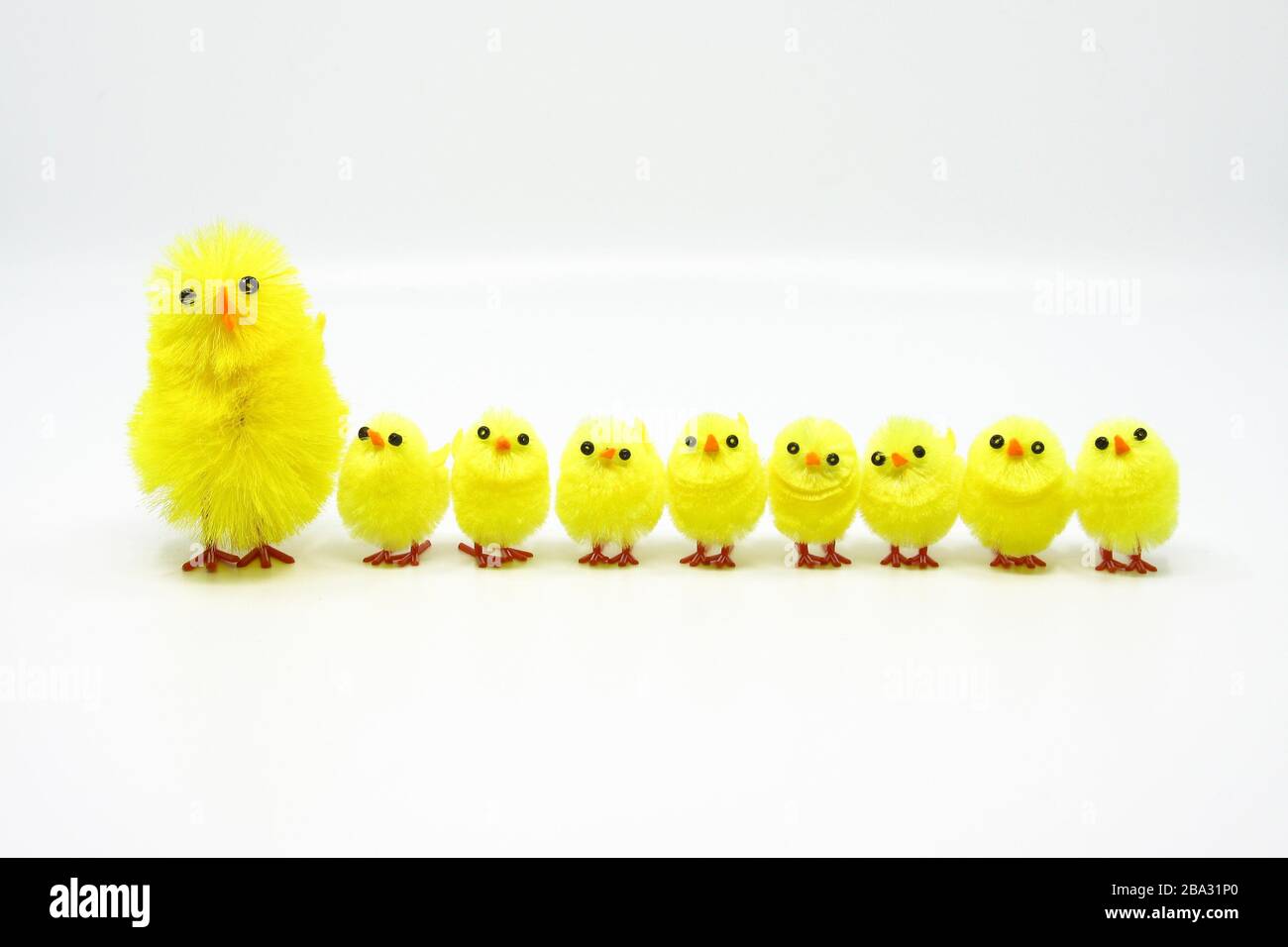 Cute little Easter chicks standing in a row Stock Photo - Alamy