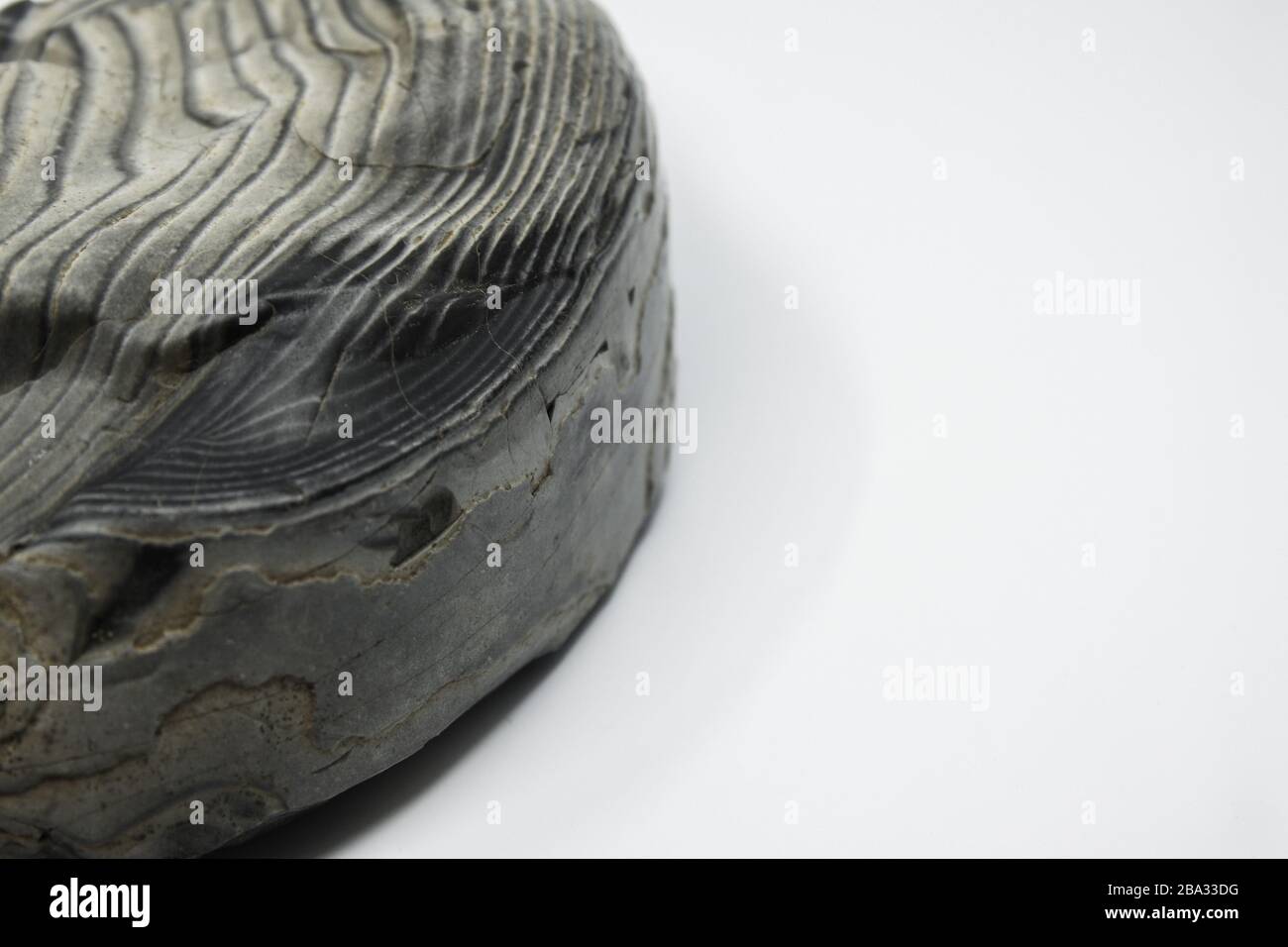 Striped flint stone isolated on a white background. Amazing curves and ...