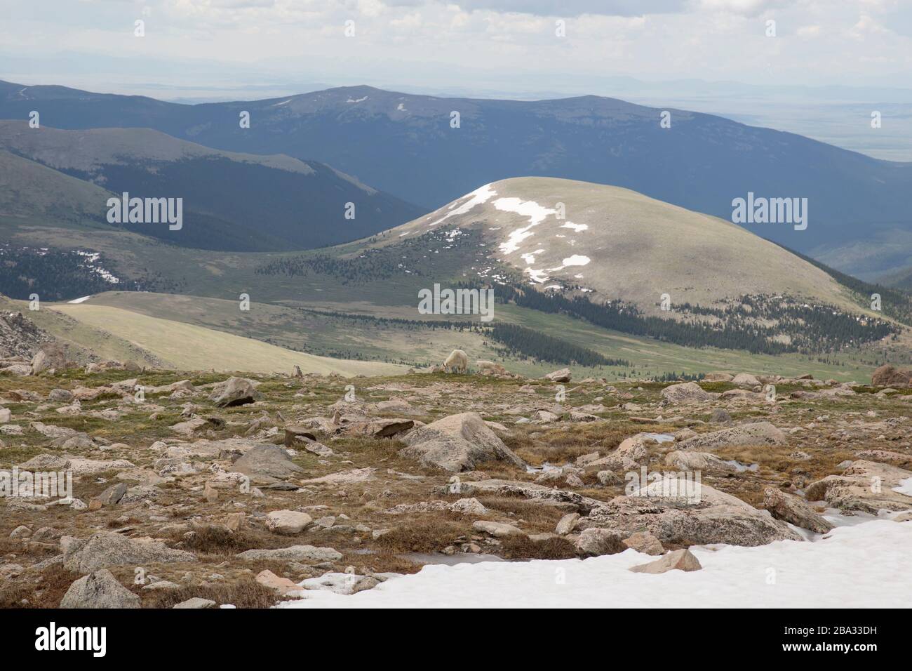 Mount evans road hi-res stock photography and images - Alamy