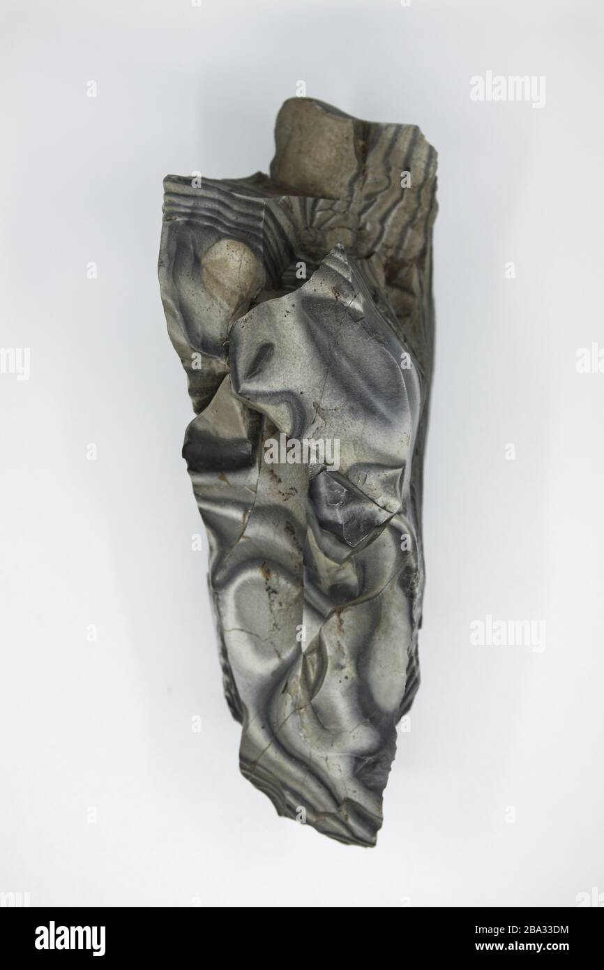Striped flint stone isolated on a white background. Amazing curves and ...