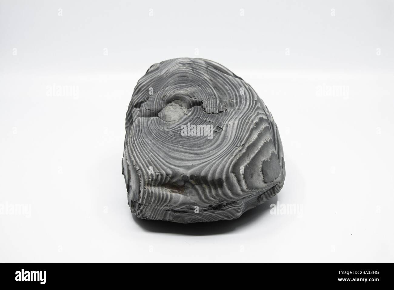 Striped flint stone isolated on a white background. Amazing curves and ...
