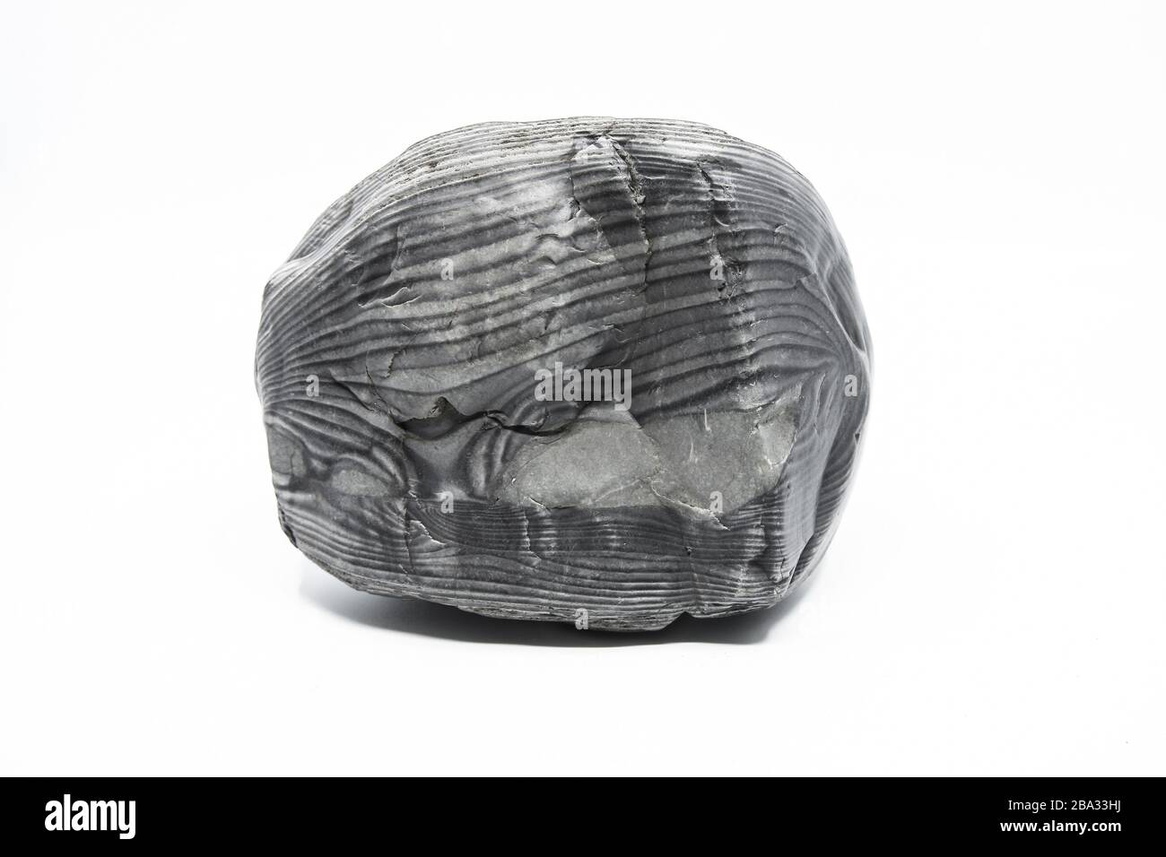 Striped flint stone isolated on a white background. Amazing curves and ...