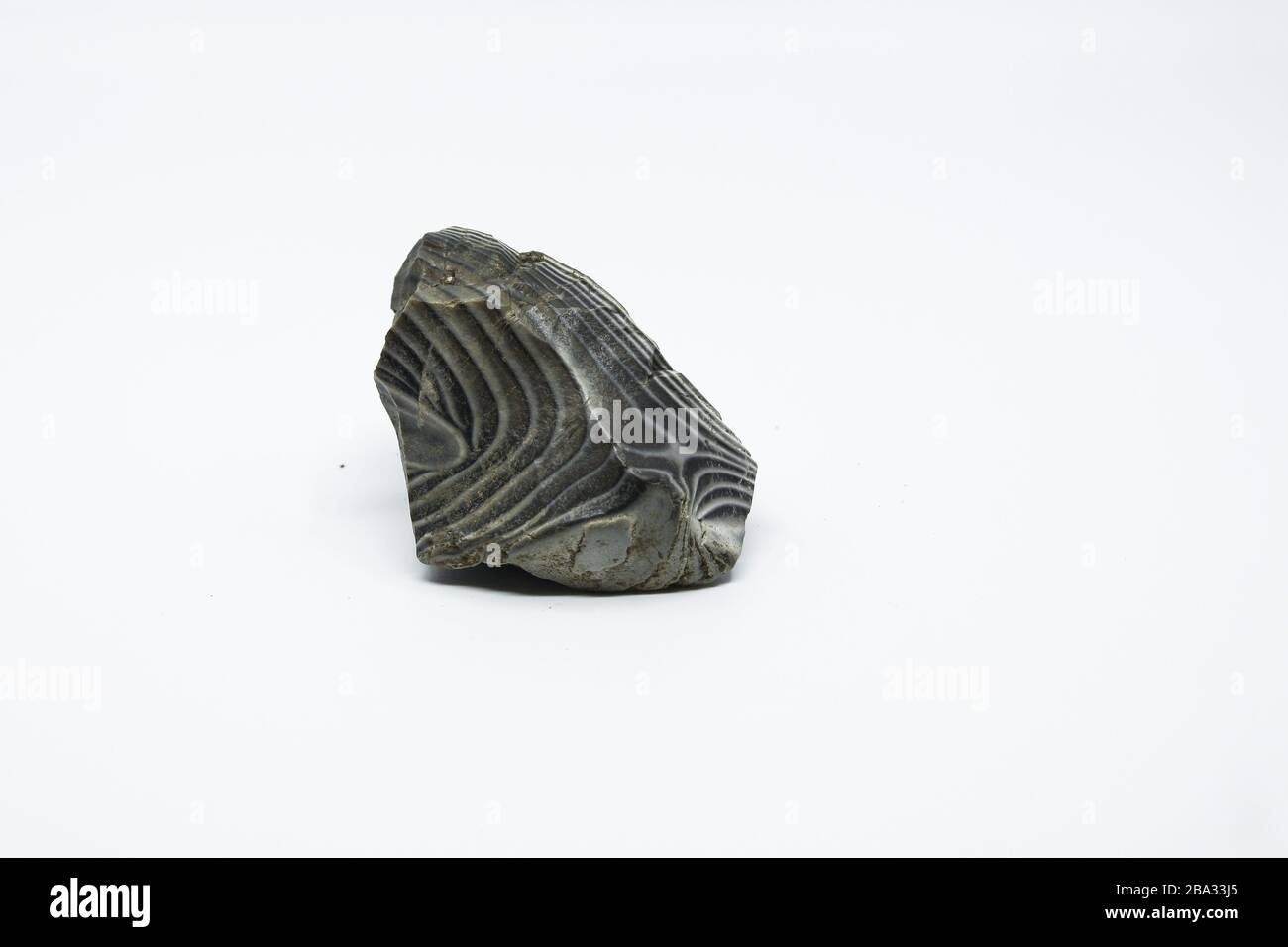 Striped flint stone isolated on a white background. Amazing curves and ...