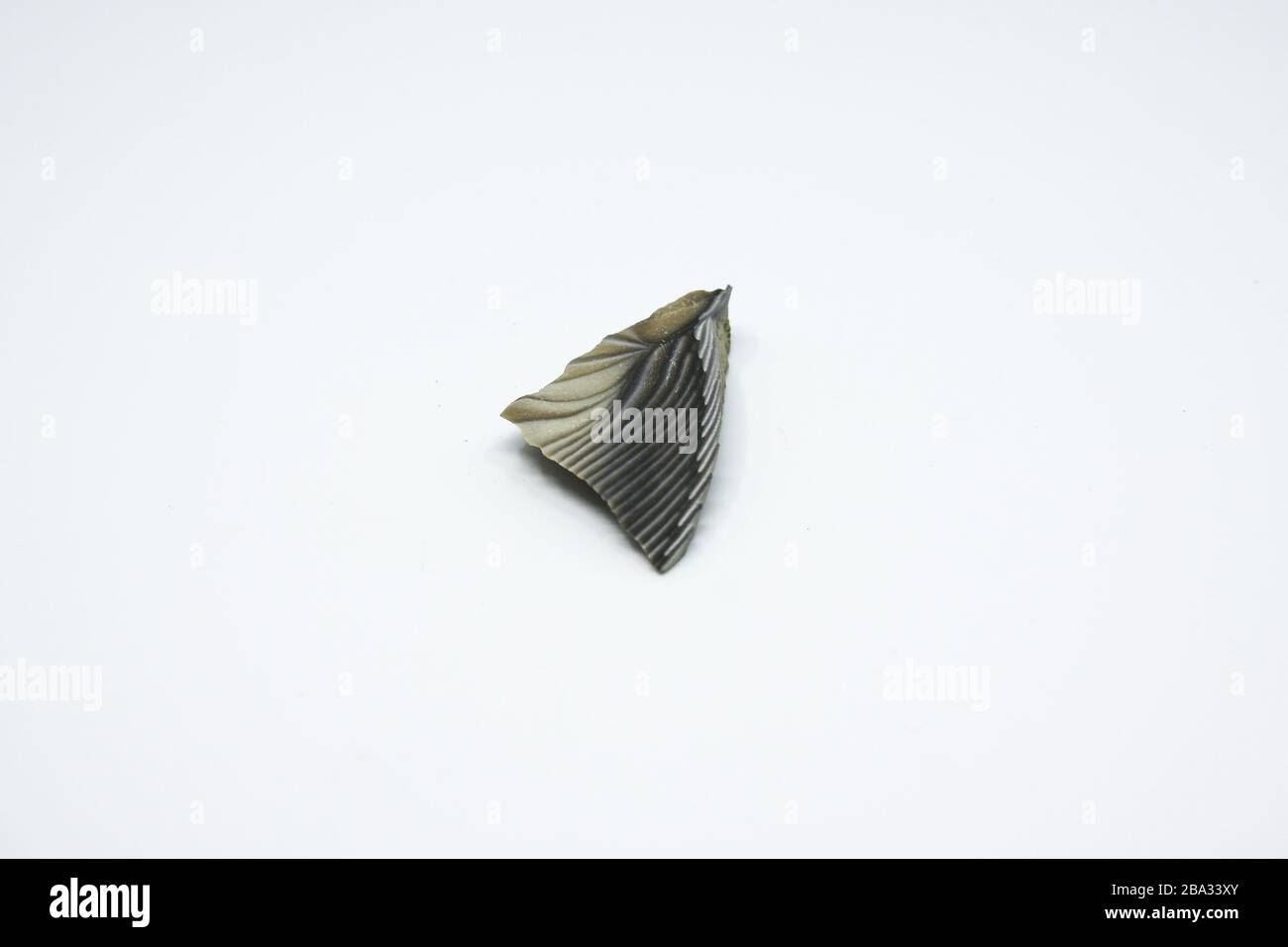 Striped flint stone isolated on a white background. Amazing curves and ...