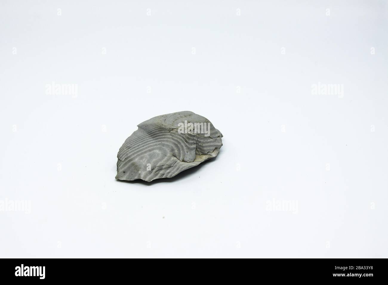 Striped flint stone isolated on a white background. Amazing curves and ...