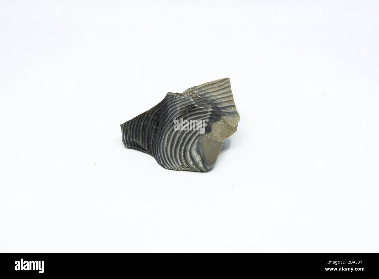 Striped flint stone isolated on a white background. Amazing curves and ...