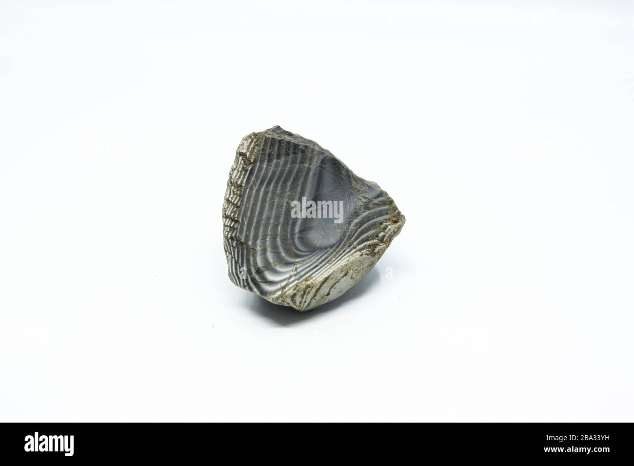 Striped flint stone isolated on a white background. Amazing curves and ...