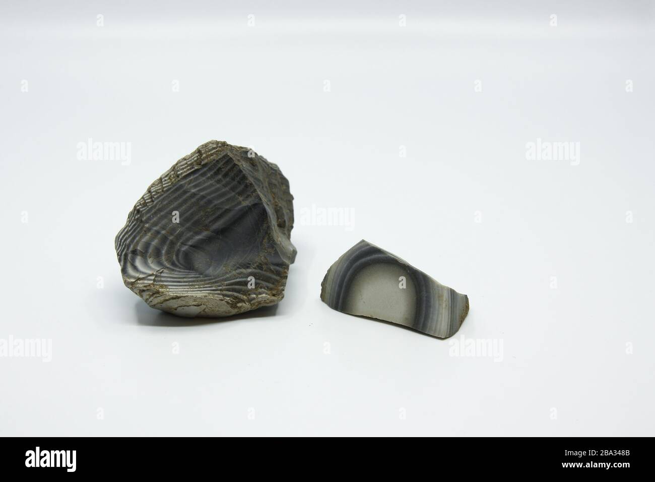 Flint stone scale hi-res stock photography and images - Alamy