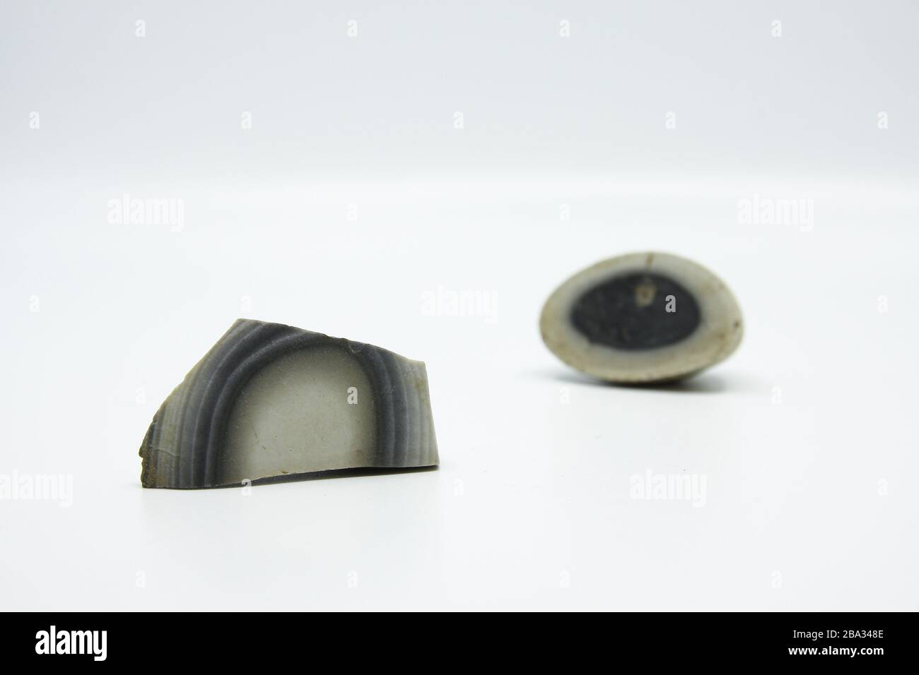 Striped flint stone isolated on a white background. Amazing curves and ...