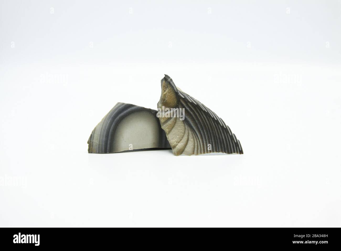 Striped flint stone isolated on a white background. Amazing curves and ...