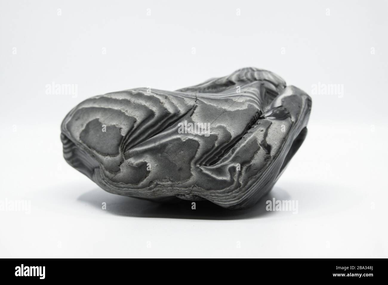 Striped flint stone isolated on a white background. Amazing curves and ...