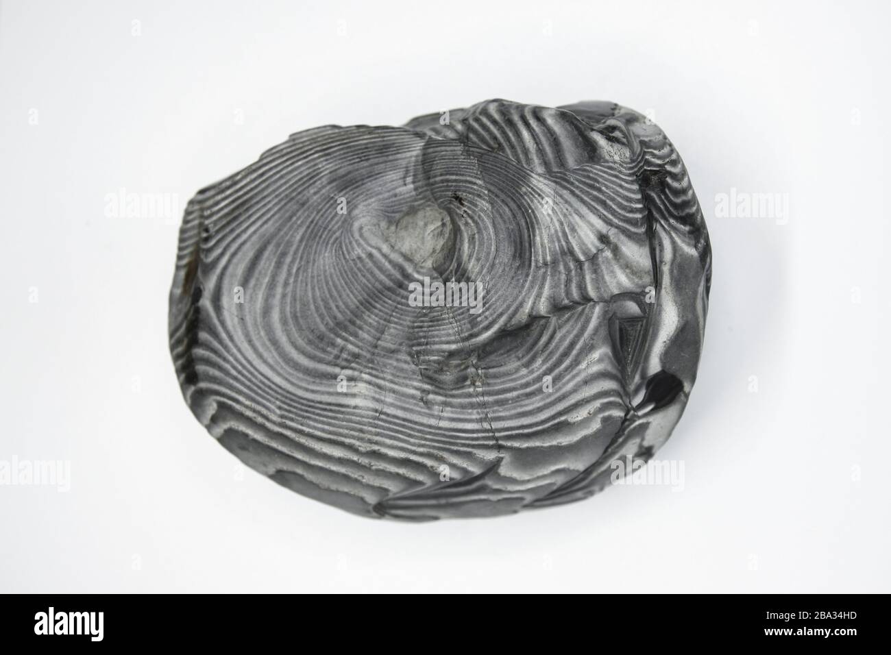 Flint stone scale hi-res stock photography and images - Alamy