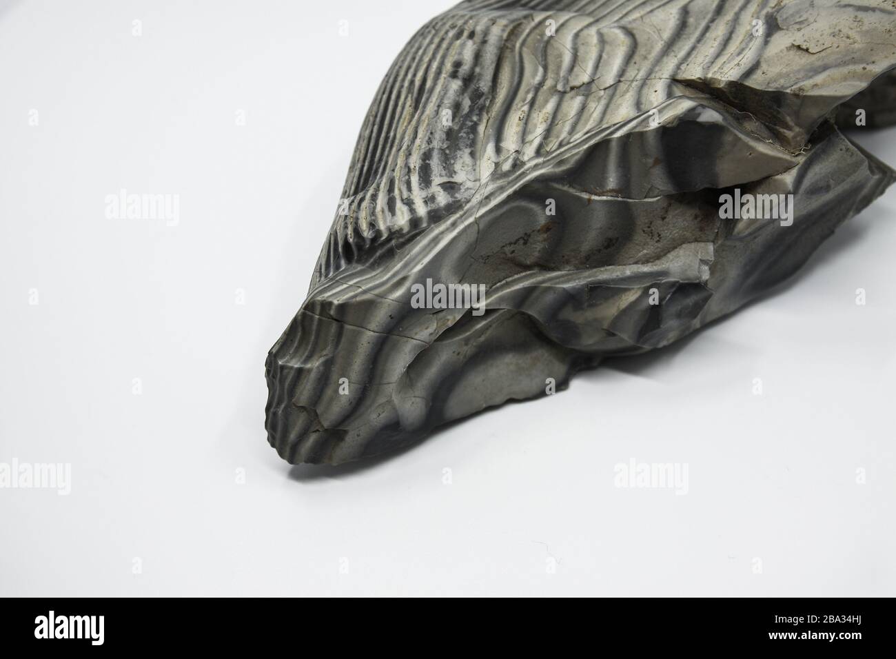 Striped flint stone isolated on a white background. Amazing curves and ...