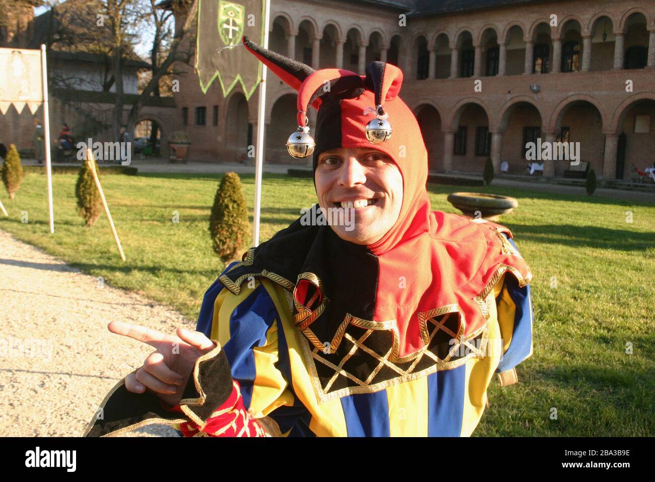 Palace jester hi-res stock photography and images - Alamy