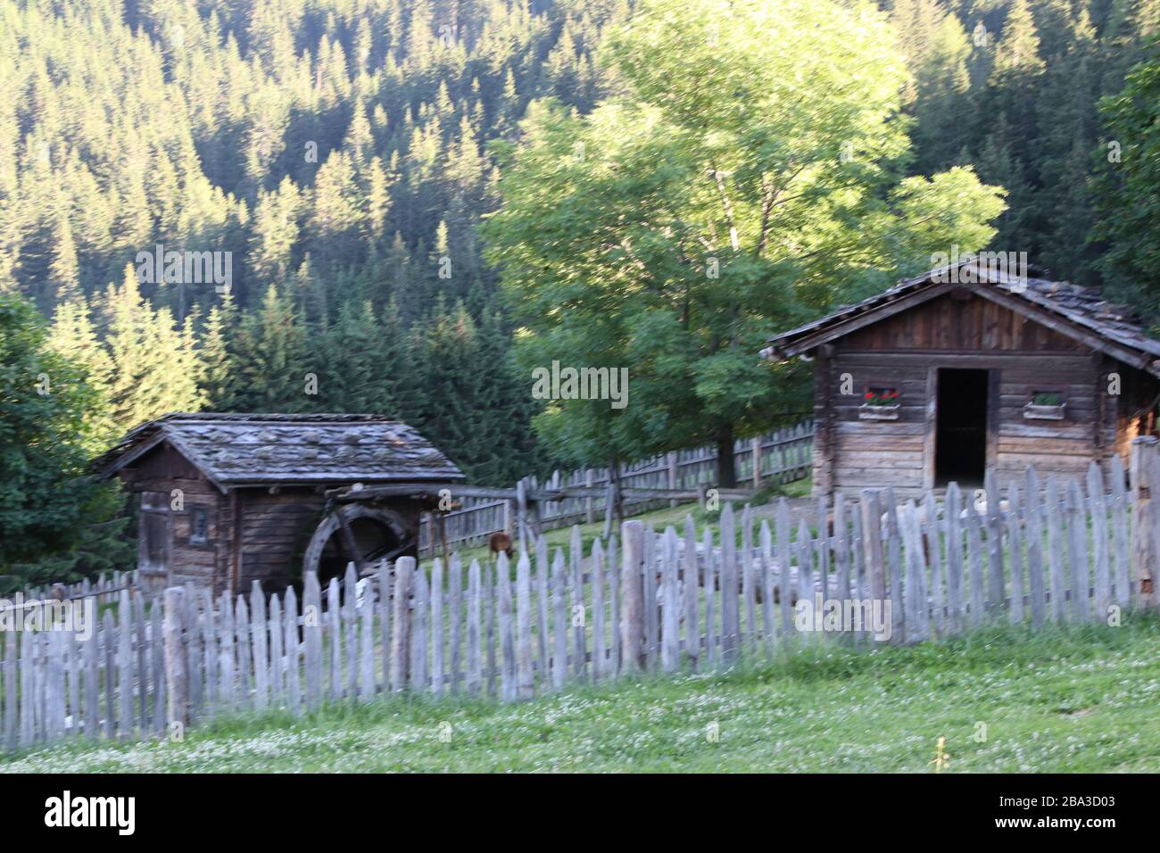 Ancient water mill on the Alps in Italy Stock Photo - Alamy