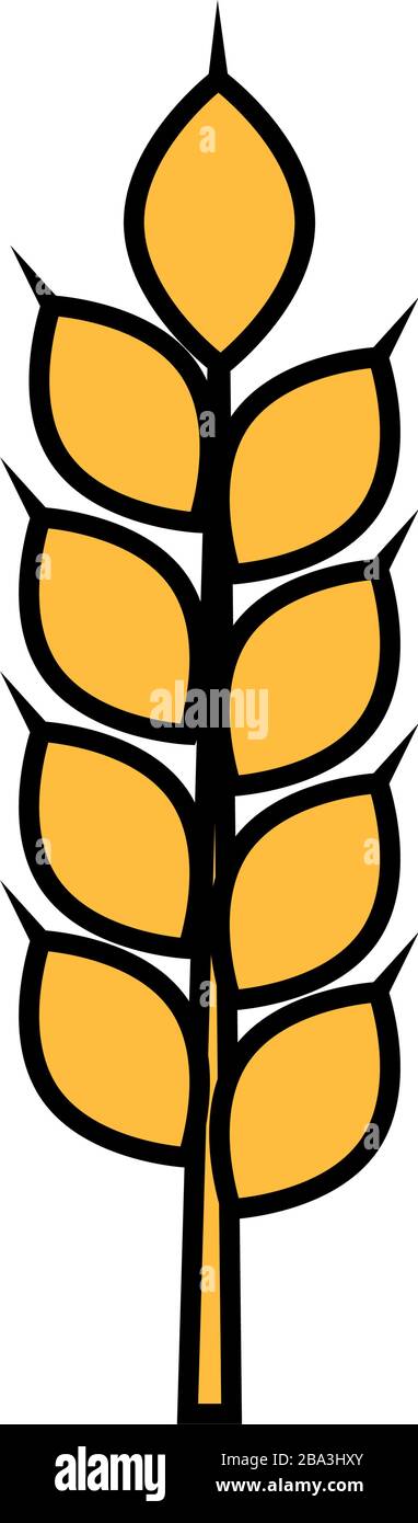 Isolated wheat icon Stock Vector Image & Art - Alamy