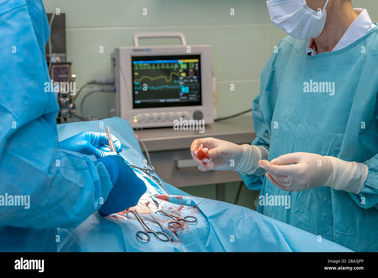 surgery in veterinary clinic. Room Monitor heart rate on the main unit ...
