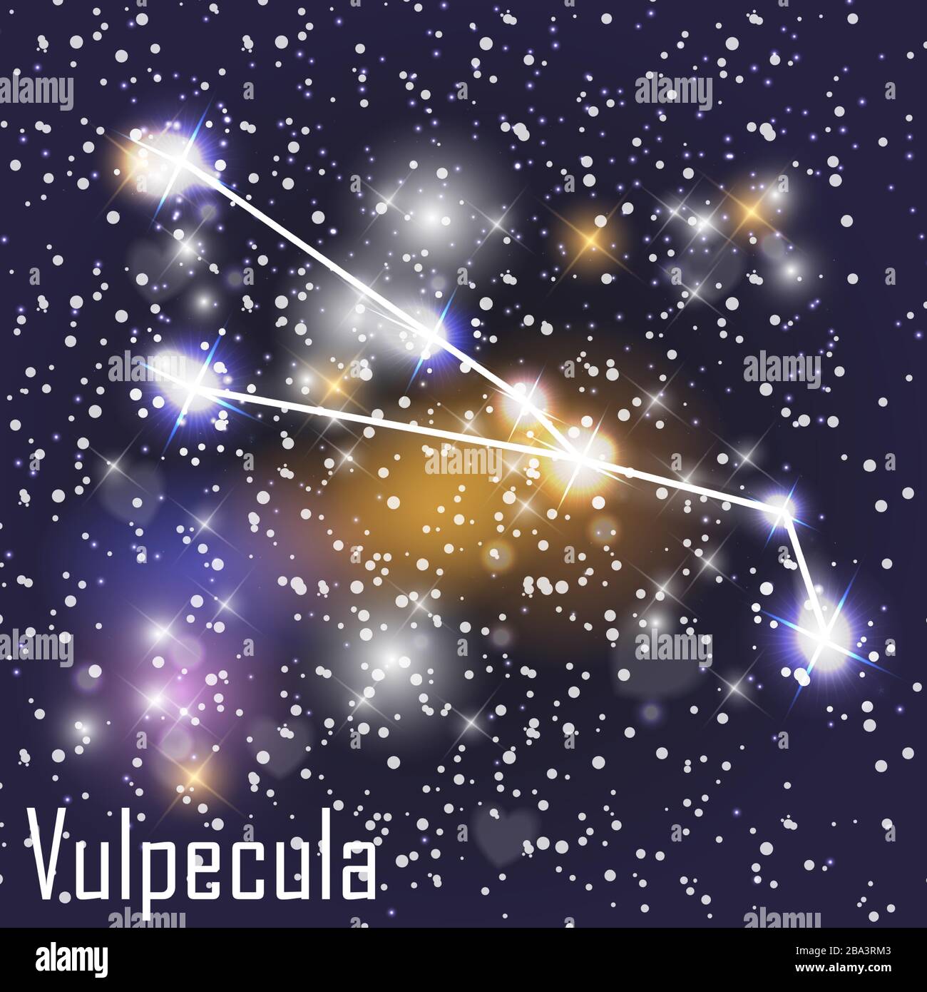 Vulpecula fox Stock Vector Images - Alamy