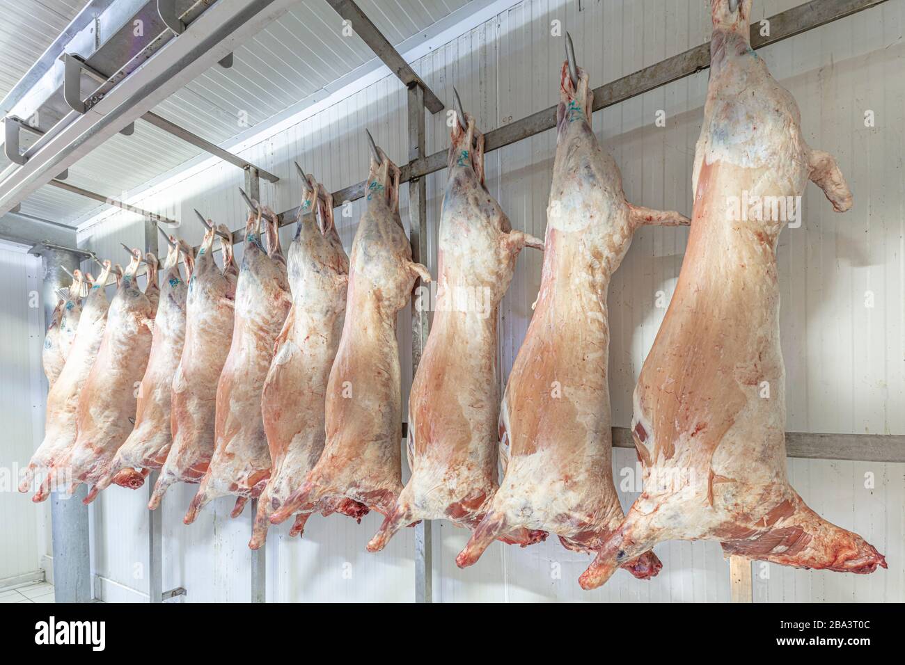 Walk in refrigerator hi-res stock photography and images - Alamy