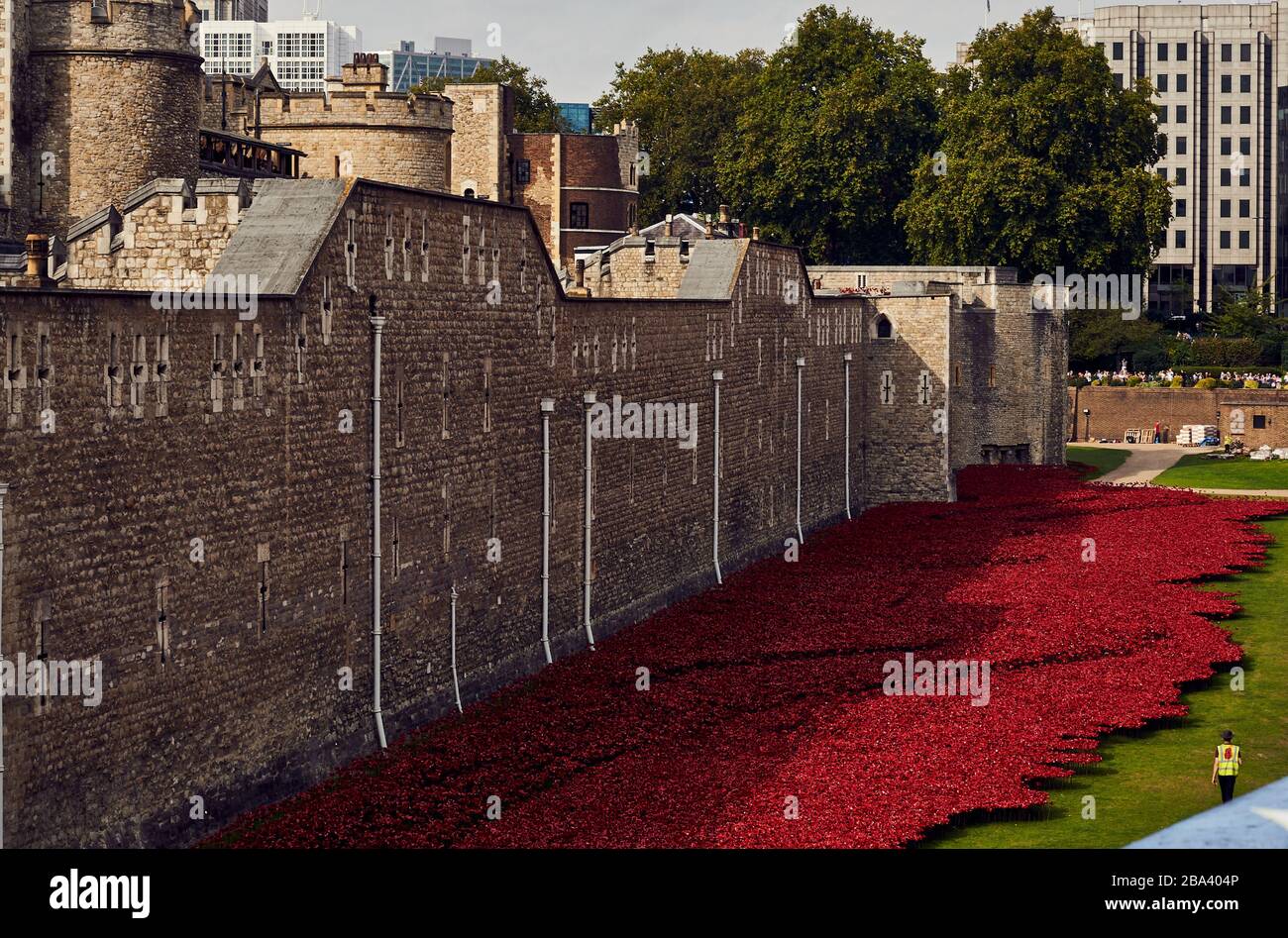 Red poppies outside Tower of London Stock Photo - Alamy