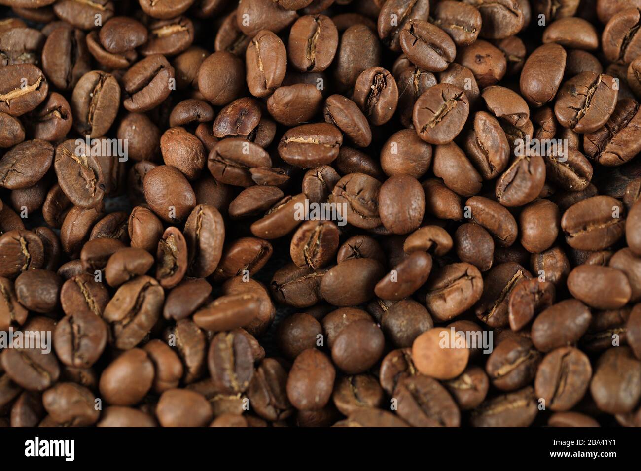 Fresh coffee beans for wholesale Stock Photo - Alamy
