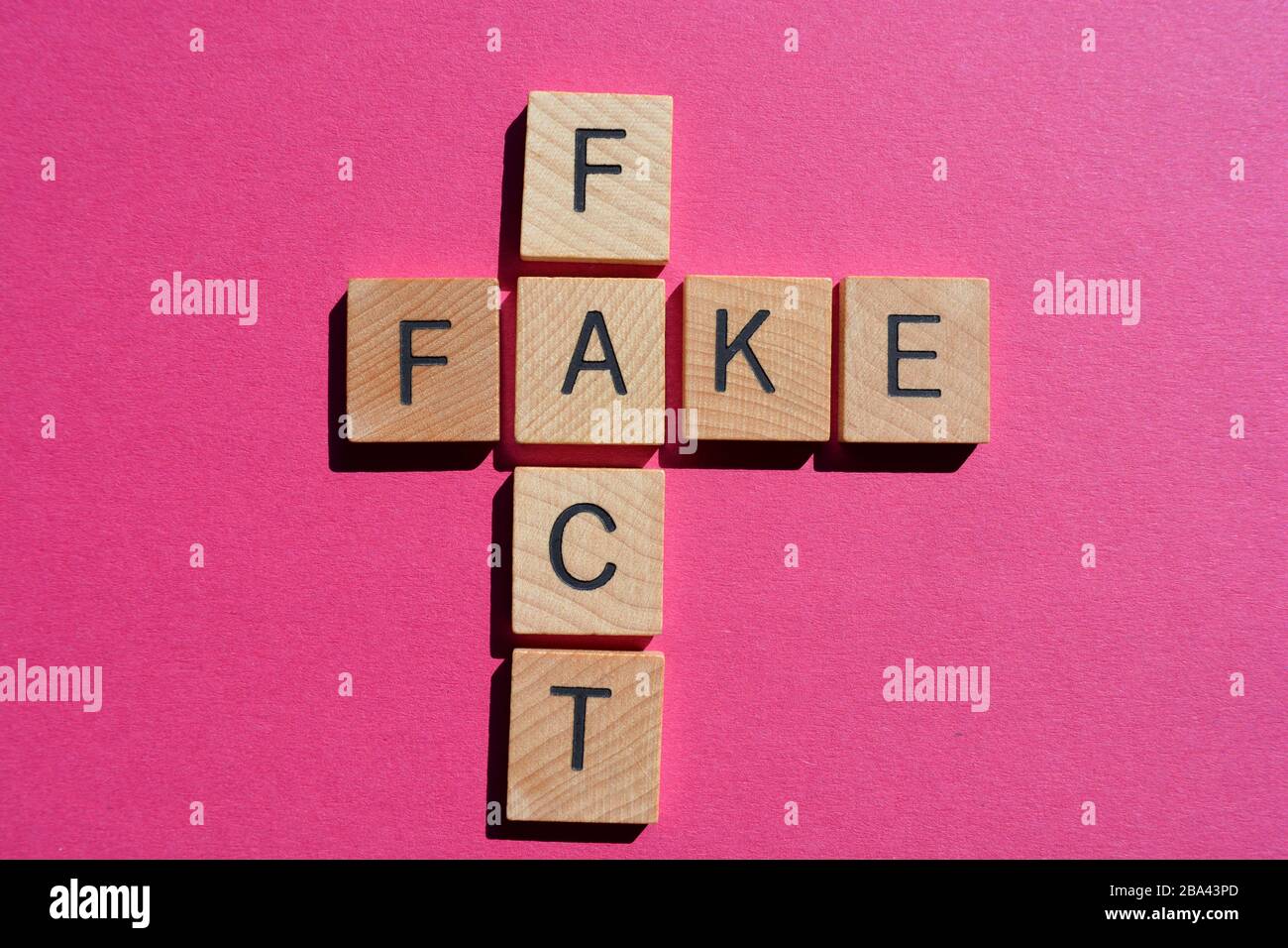 Fact Fake, words in wooden alphabet letters on bright pink background ...
