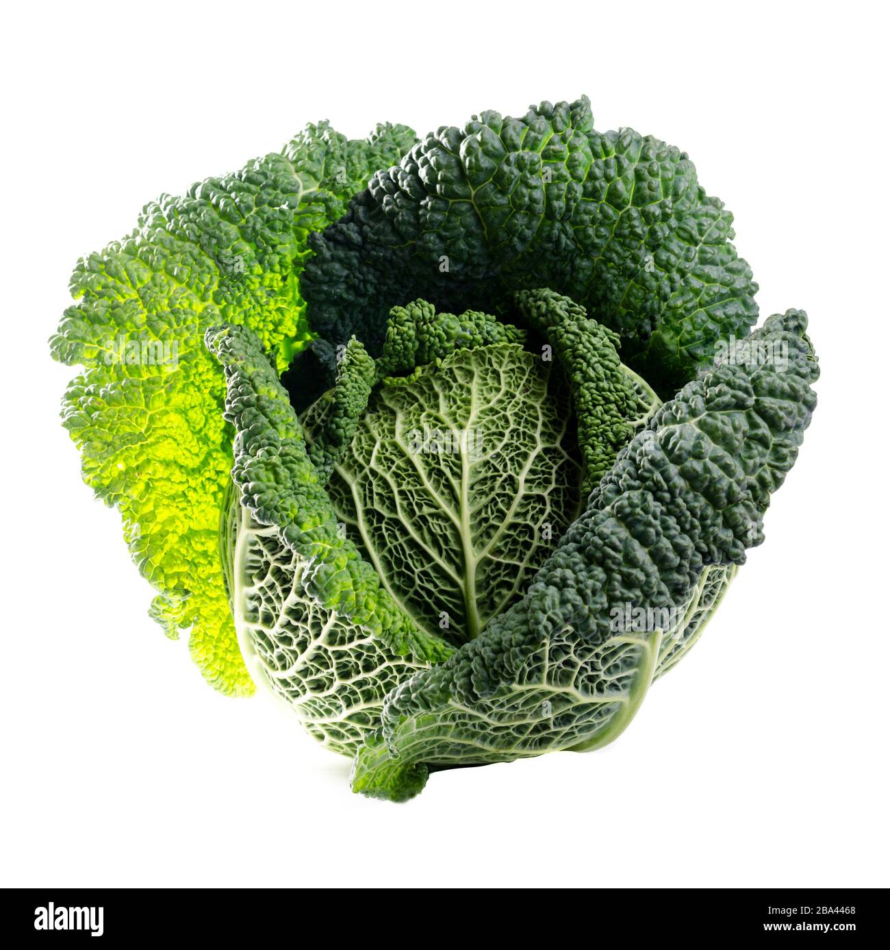 Beautiful Ripe Fresh Green Savoy cabbage isolated on white background ...