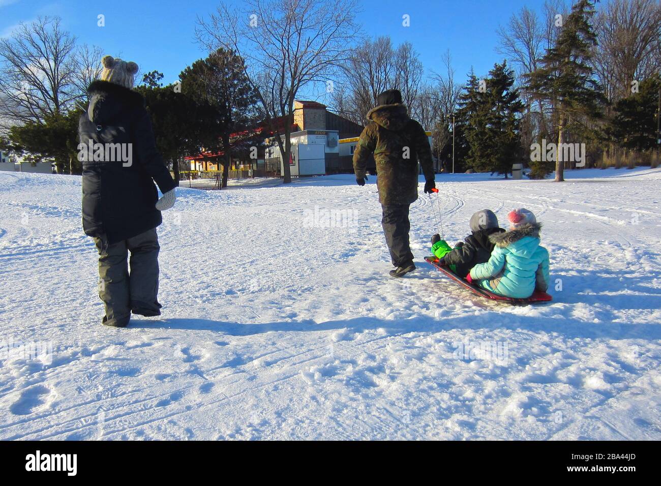 Winter sport toboggan - Family playing toboggan in winter, outside ...