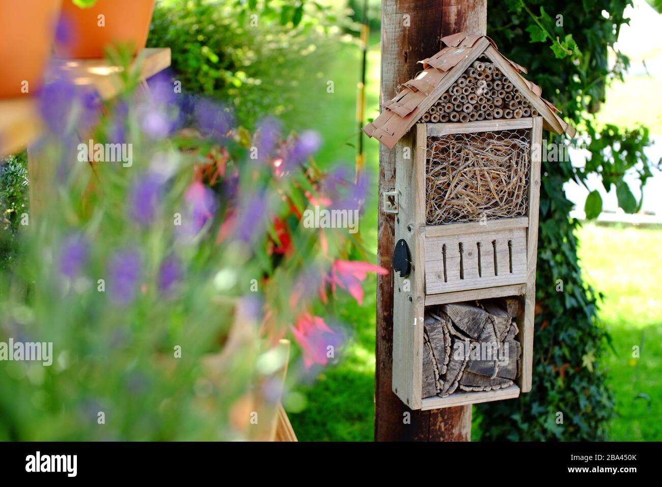 Bug house hi-res stock photography and images - Alamy