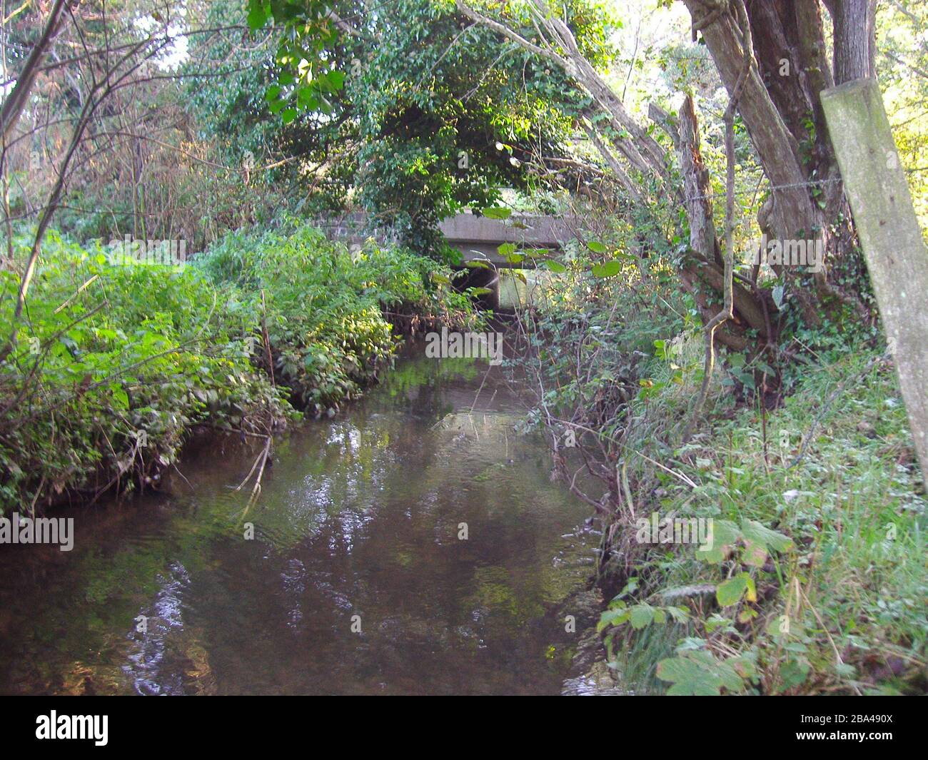 Hanworth common hi-res stock photography and images - Alamy