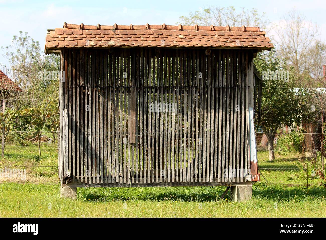 Storing corn hi-res stock photography and images - Alamy