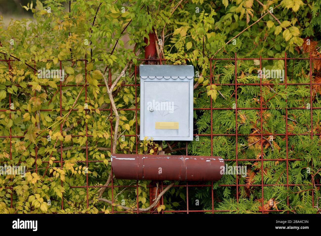 Light grey metal vintage retro mailbox with old tube for promotional ...