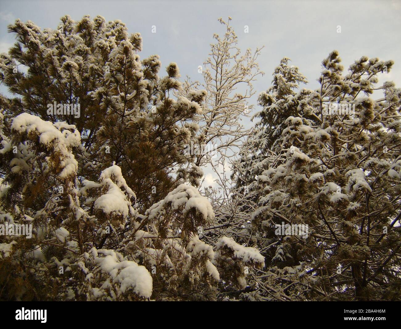 2003 2004 hi-res stock photography and images - Alamy