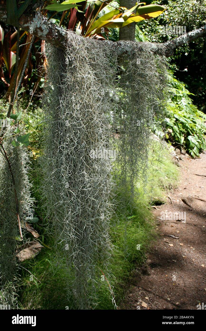 The original state hi-res stock photography and images - Alamy