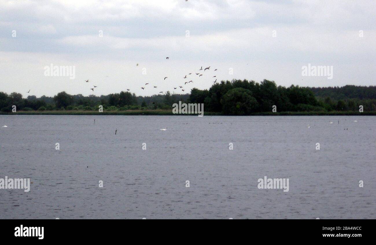 Stawy hi-res stock photography and images - Alamy