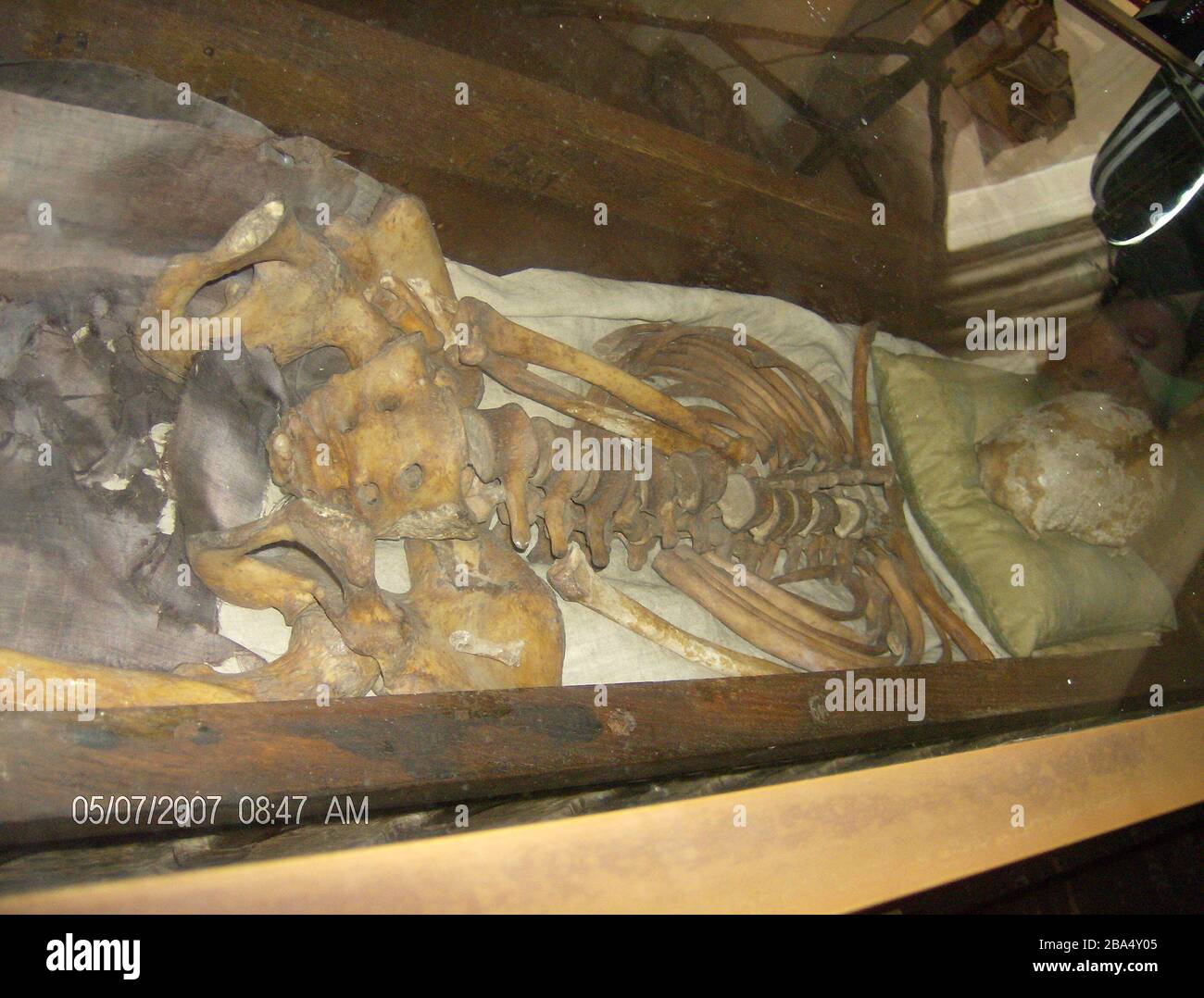 Sankt knut hi-res stock photography and images - Alamy