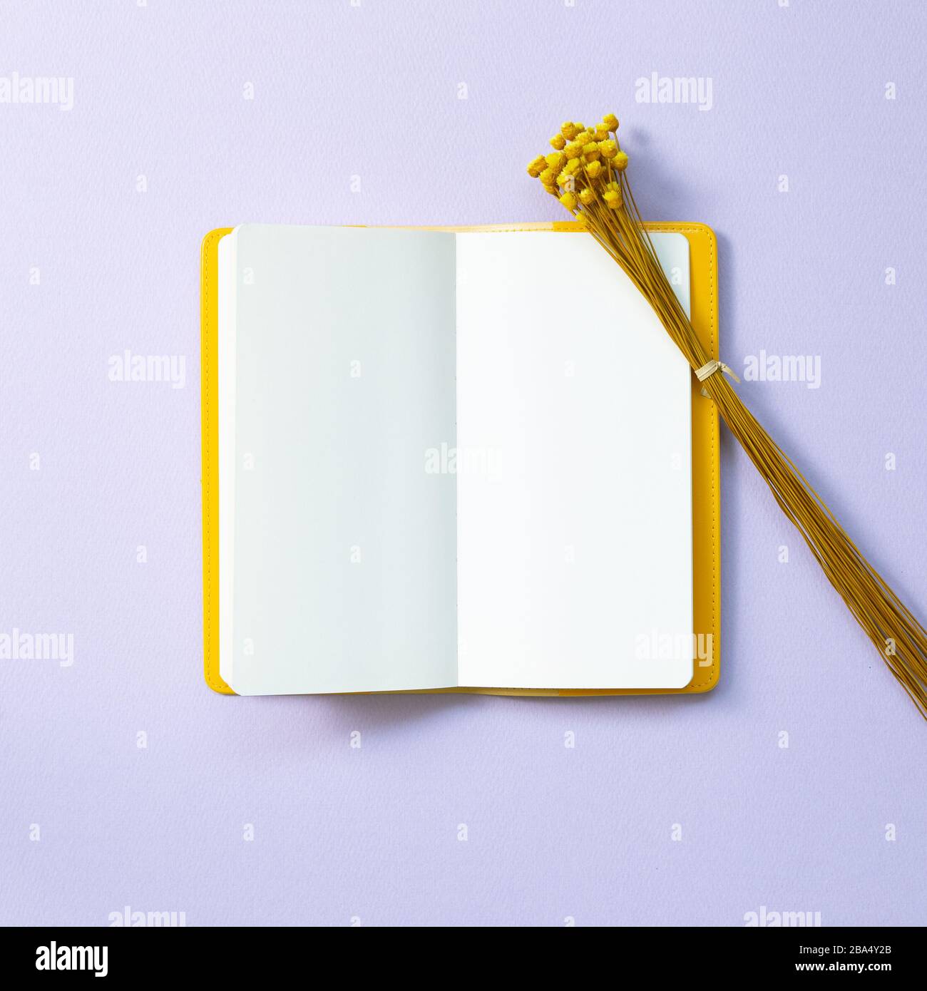 Empty note book floral hi-res stock photography and images - Alamy