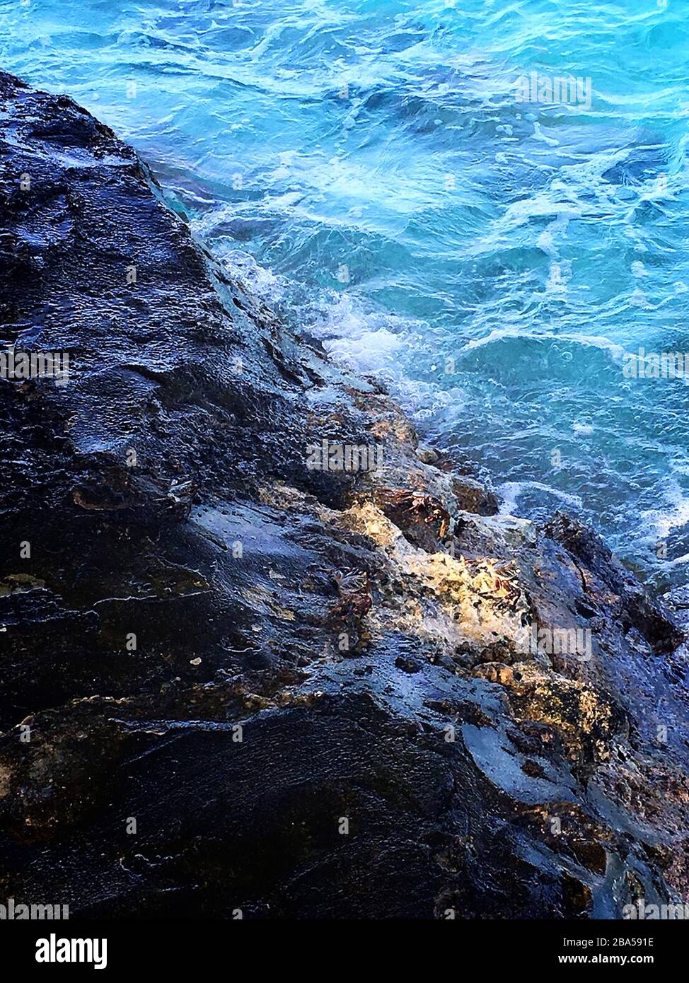 Rock shore in the sea of Maldives Stock Photo - Alamy
