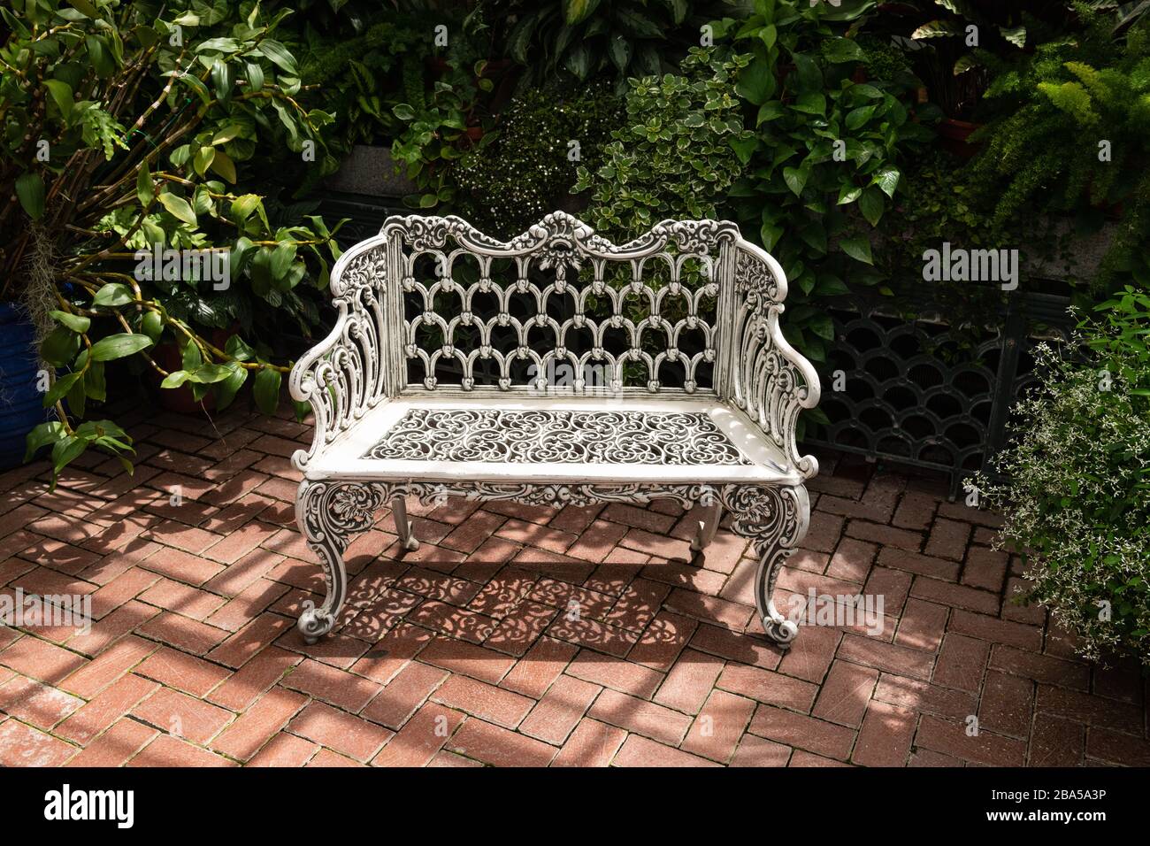 Asheville, North Carolina - July 24, 2019 - Bench among tropical plants ...